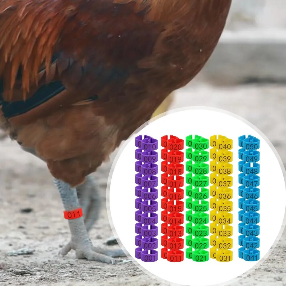 Меточные кольца для птицы регулируемое Для куры, утки и гуси, 100 штук