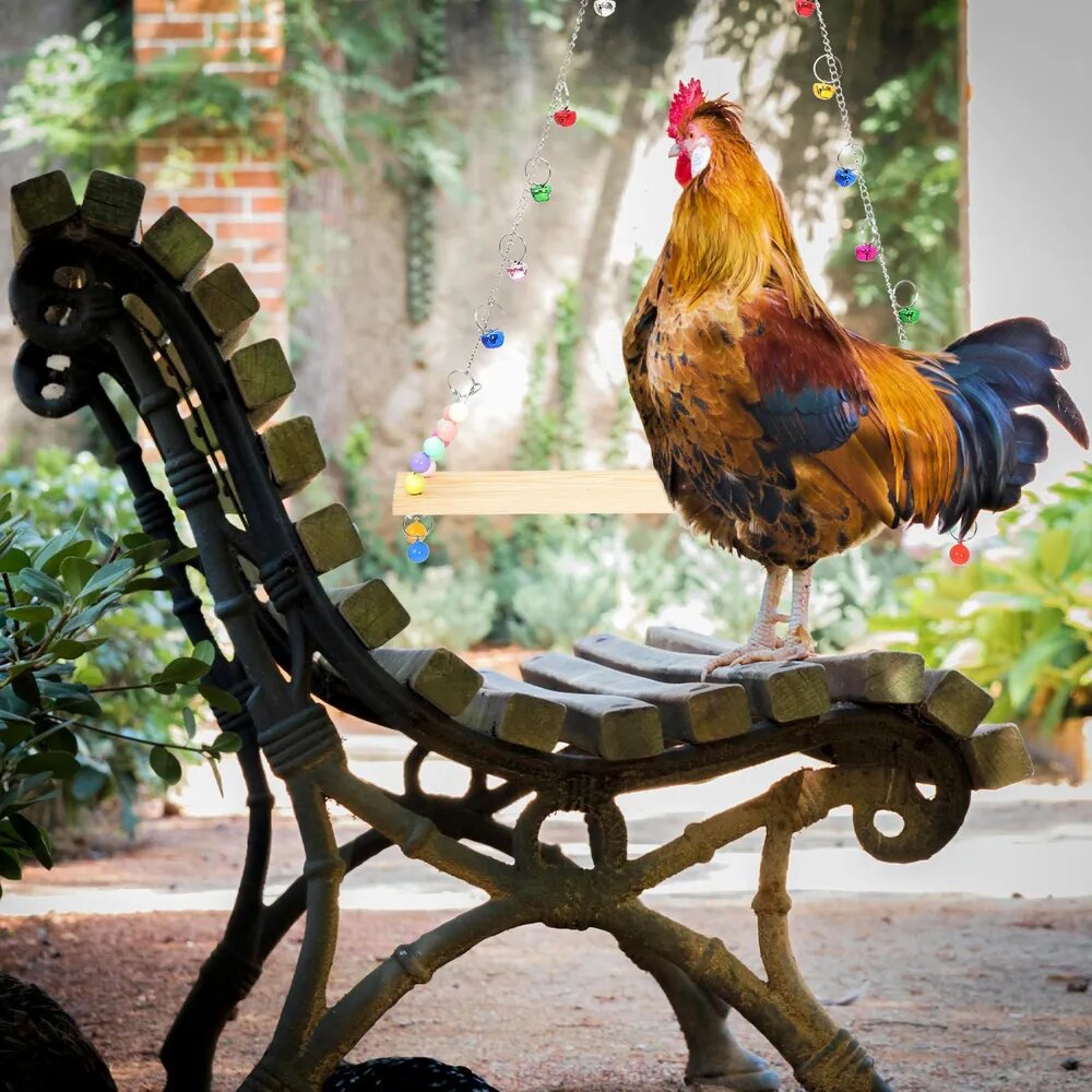 Деревянные качели для петухов и кур, многоцветные, игровой аксессуар для курятника