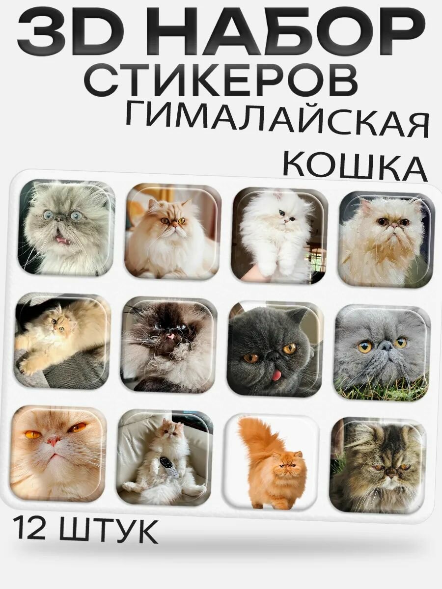 3D стикеры на телефон гималайская кошка