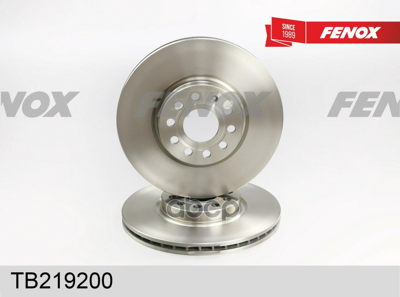 Диск торм. перед. VW Passat 05- FENOX арт. tb219200