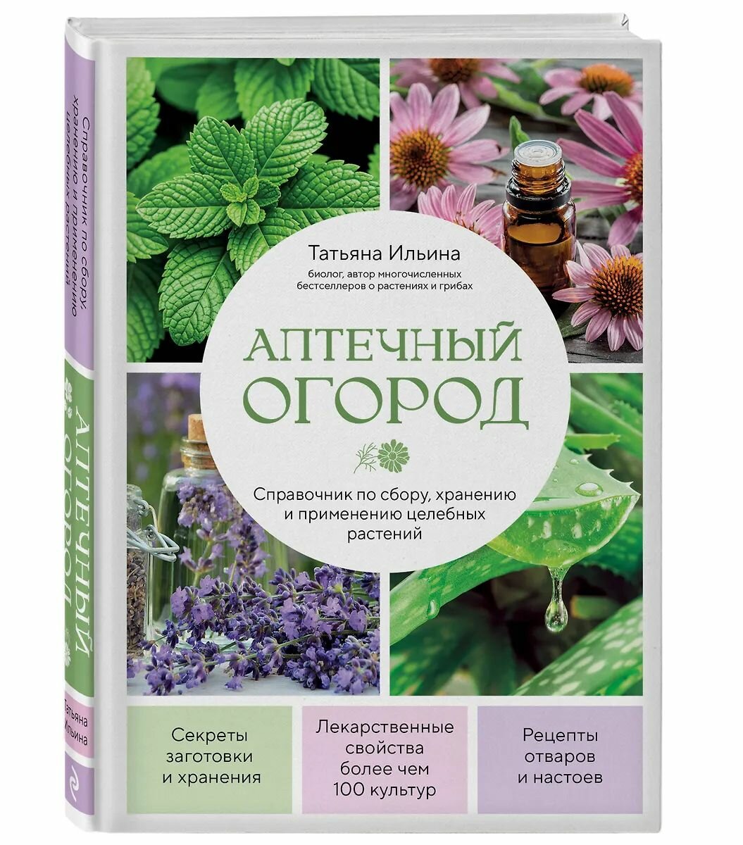 Практическое пособие ЭКСМО Аптечный огород. Справочник по сбору, хранению и применению целебных растений, Ильина Т. А, новое оформление 2025 г.