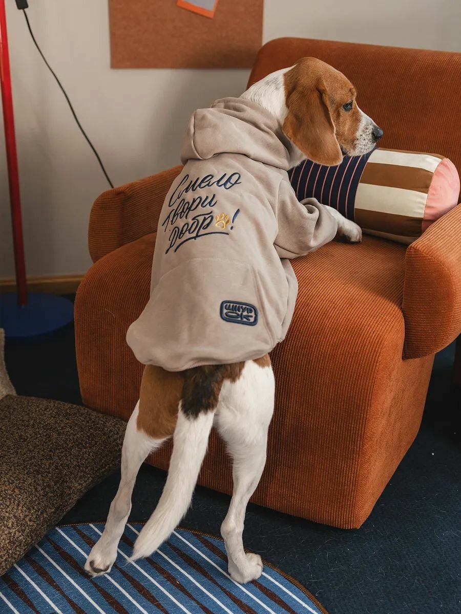 Кофта для собак с молнией