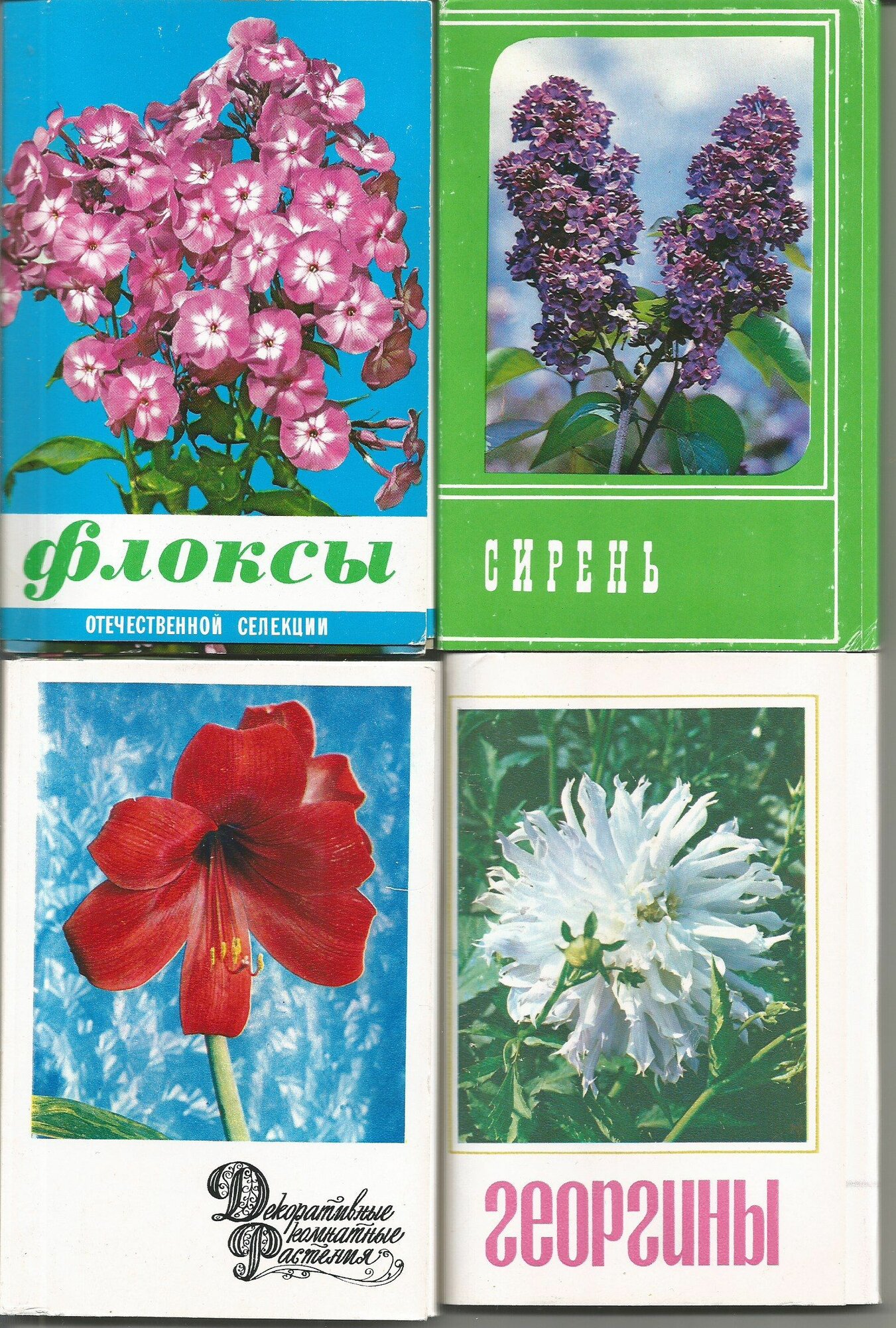 4 набора открыток СССР.1974 -1976 год. Флора. Цветы. Набор 105 открыток.