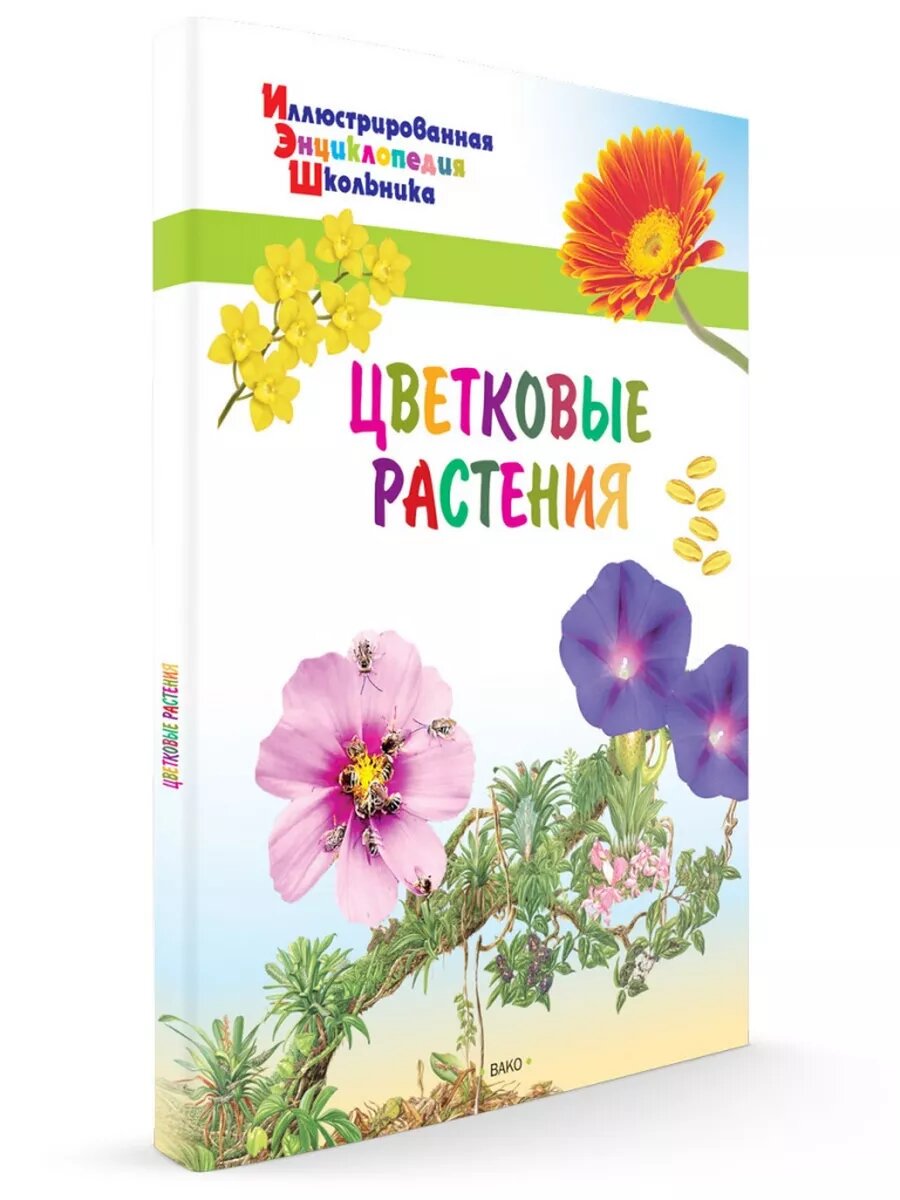 Иллюстрированная энциклопедия школьника: Цветковые растения