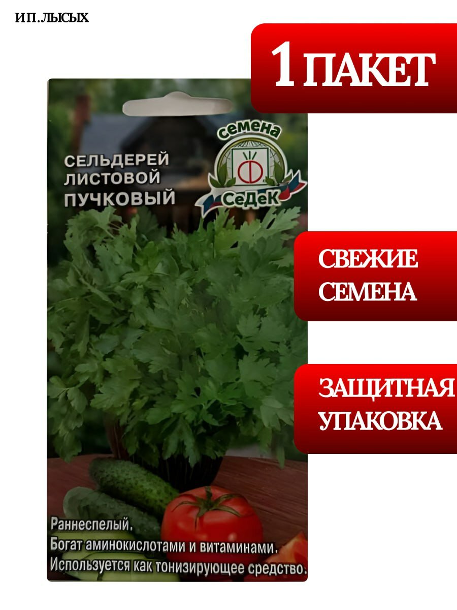Семена Сельдерей "Пучковый"