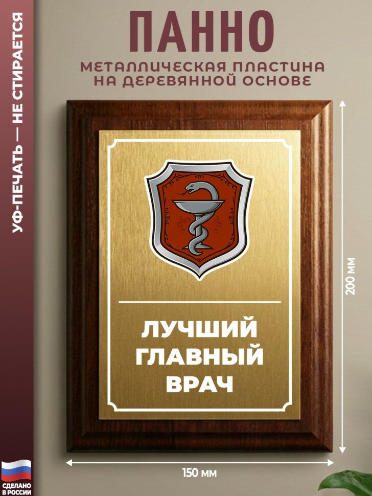 Настенный диплом "Лучший главный врач"