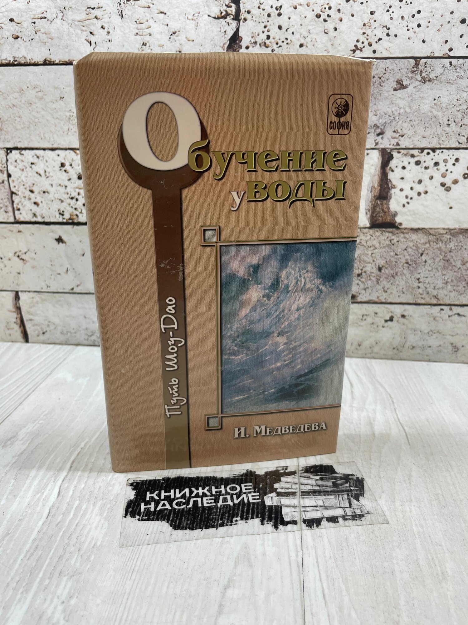 Медведева И. Обучение у воды. София 1999 г