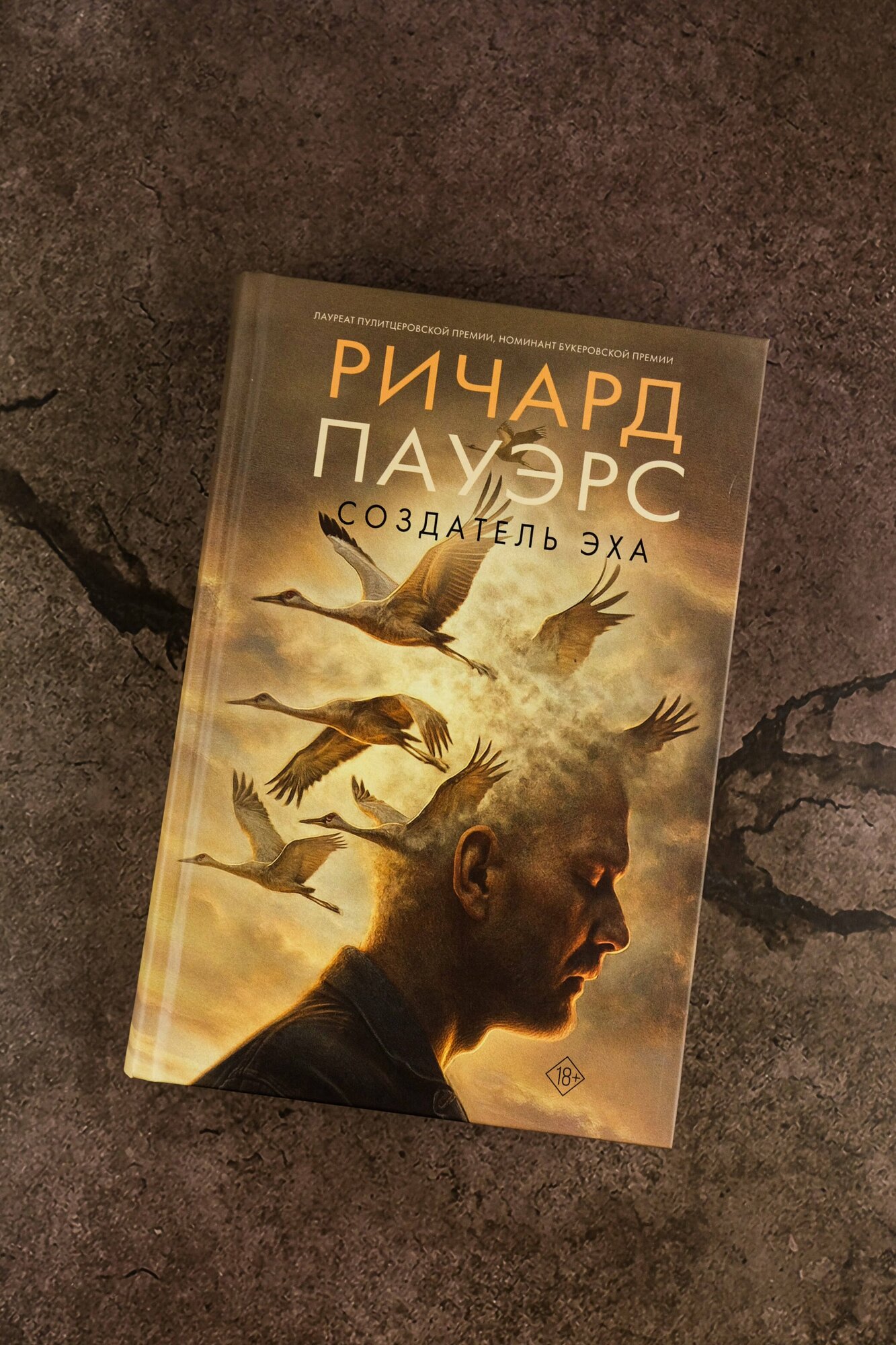 Создатель эха — фото 1