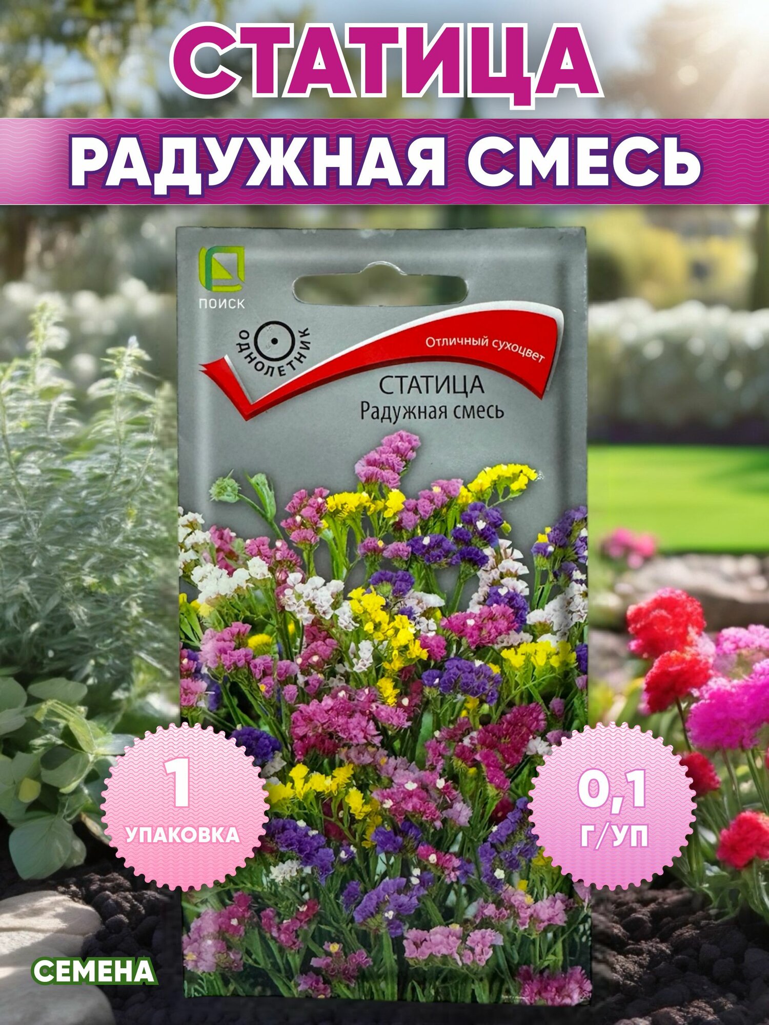 Семена Статица Радужная смесь 0,1г/1уп, Поиск