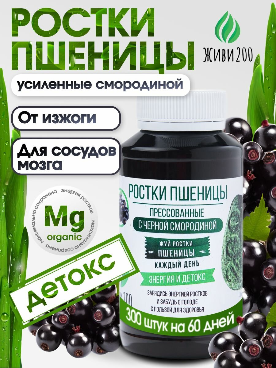 Ростки пшеницы (Витграсс) детокс хлорофилл, 300 шт черная смородина, Живи200