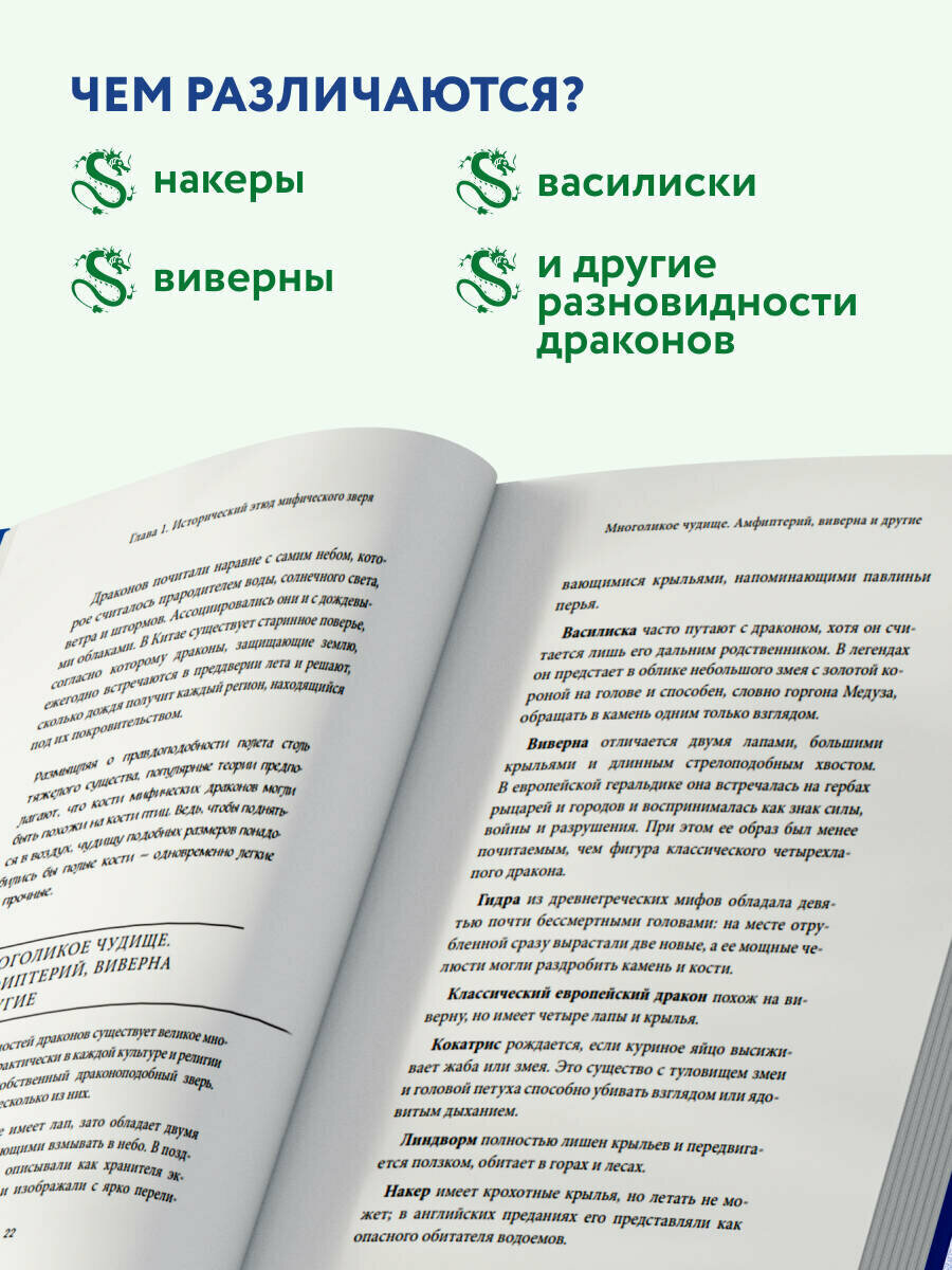 Мифы о драконах — фото 1