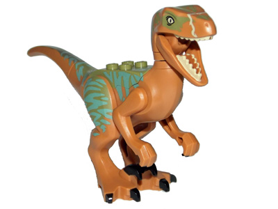 Dinosaur Raptor / Velociraptor with Olive Green Back and Sand Green Markings (Jurassic World Echo), Raptor05 Medium Nougat U