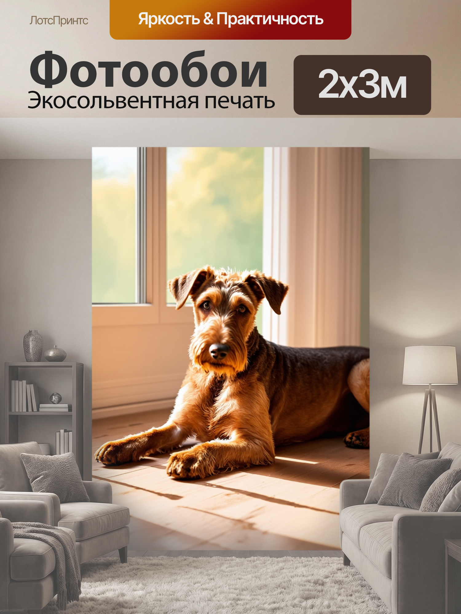 Фотообои "Собака ирландского терьера, нежно лежащая на старом деревянном полу, солнечные лучи пробиваются через окно. приятные тени создают уютное." 200x300 см. экосольвентная печать