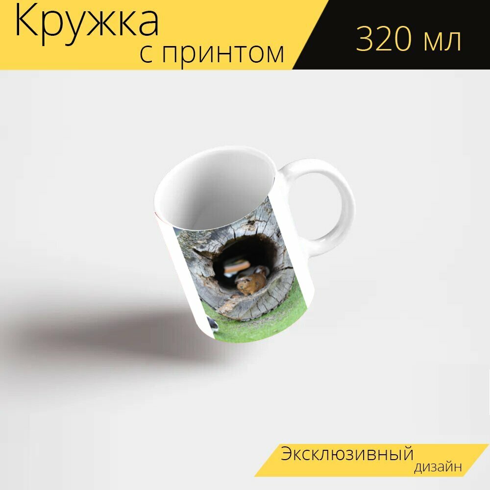Кружка с рисунком, принтом "Морская свинка, зоопарк, милый" 320 мл.