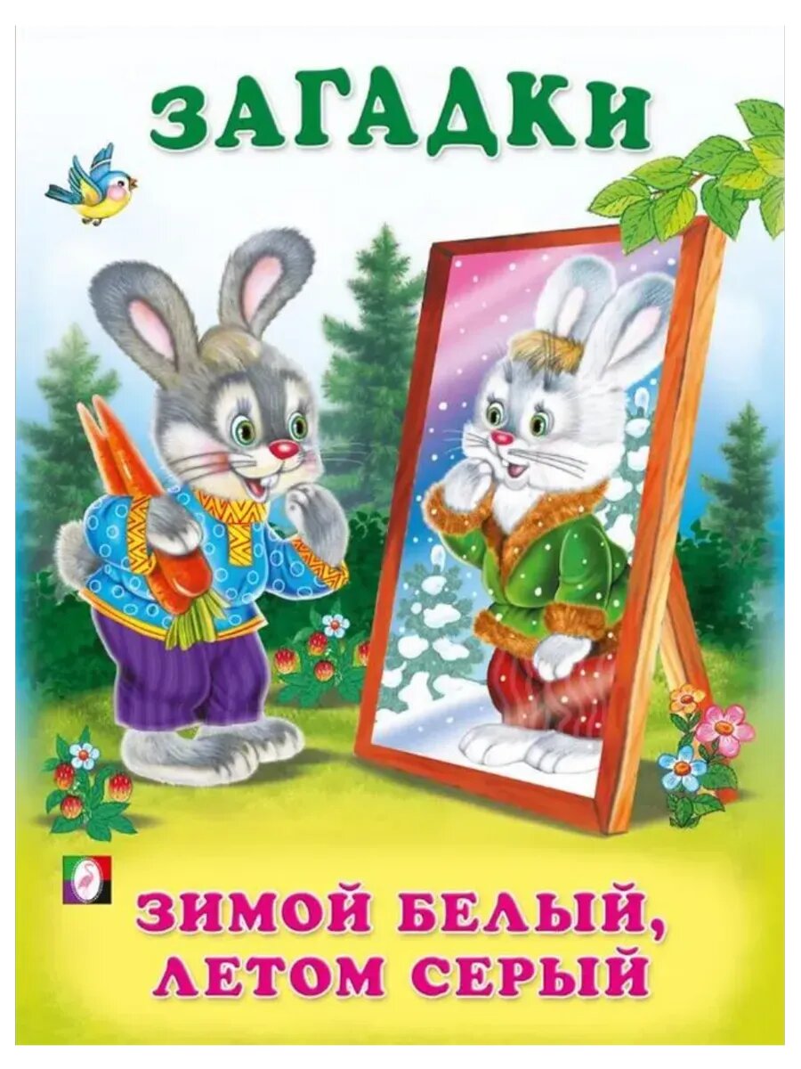 Загадки в стихах. Зимой белый, летом серый