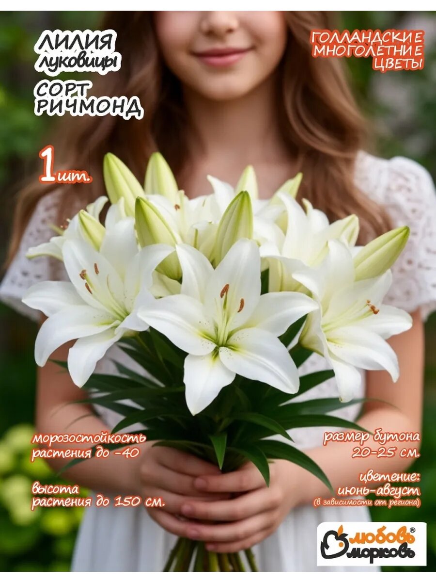 Лилия Луковица, Ричмонд, 1 шт
