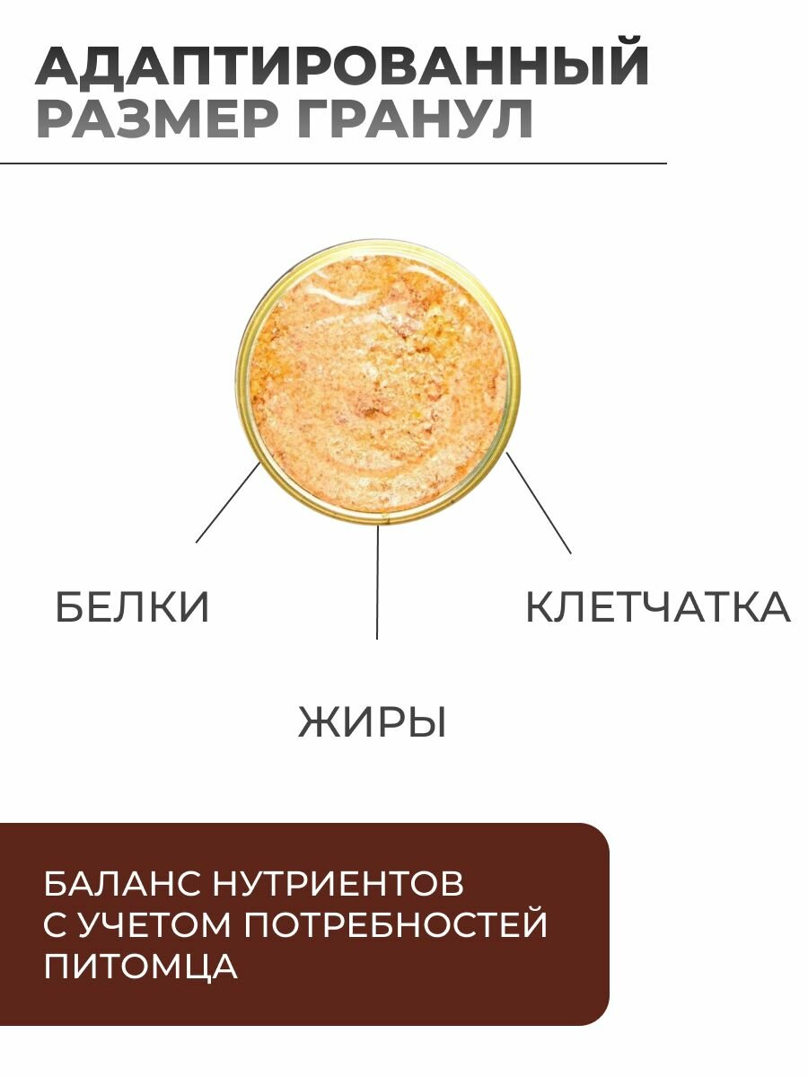 Monge Dog Fresh Chunks in Loaf консервы для собак мясной рулет телятина, 6 шт по 400 г