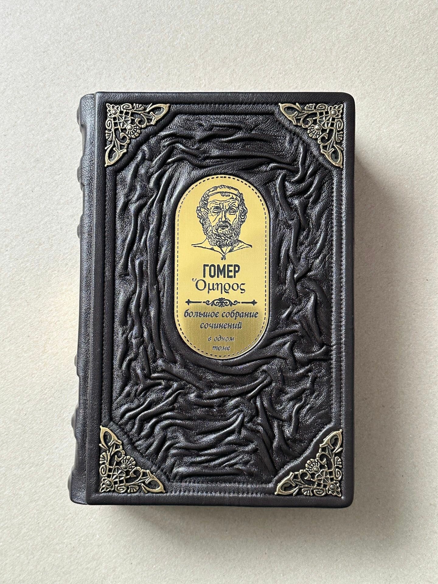 Илиада. Одиссея. Гомер (подарочная кожаная книга)