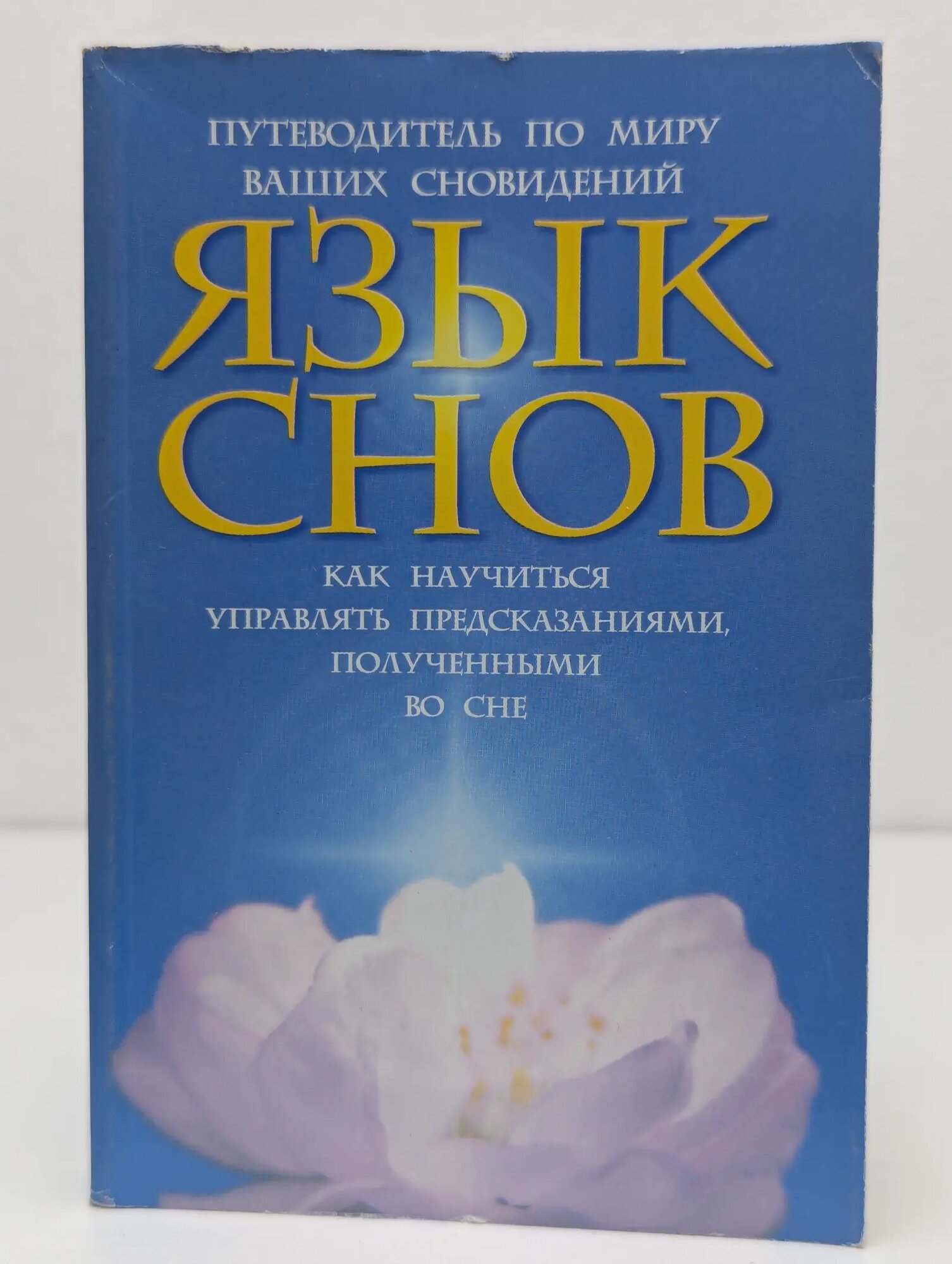 Язык снов Колодинский Михаил Наумович 2006