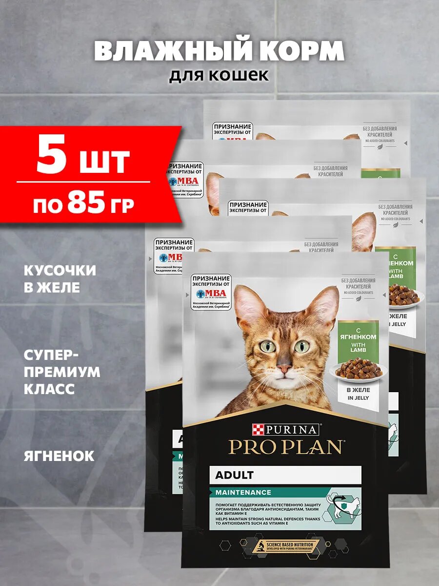 Корм влажный Pro Plan Maintenance для взрослых кошек, ягнёнок в желе, 85 г 5 шт