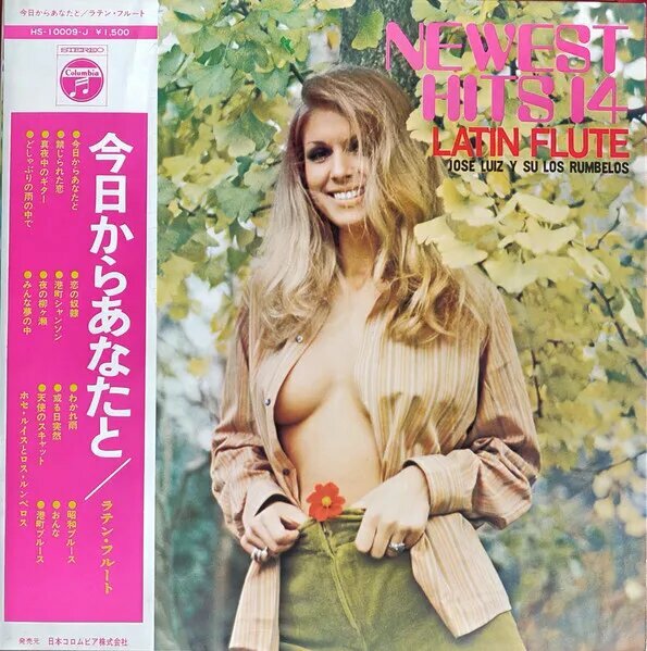 Newest Hits 14/ Latin Flute