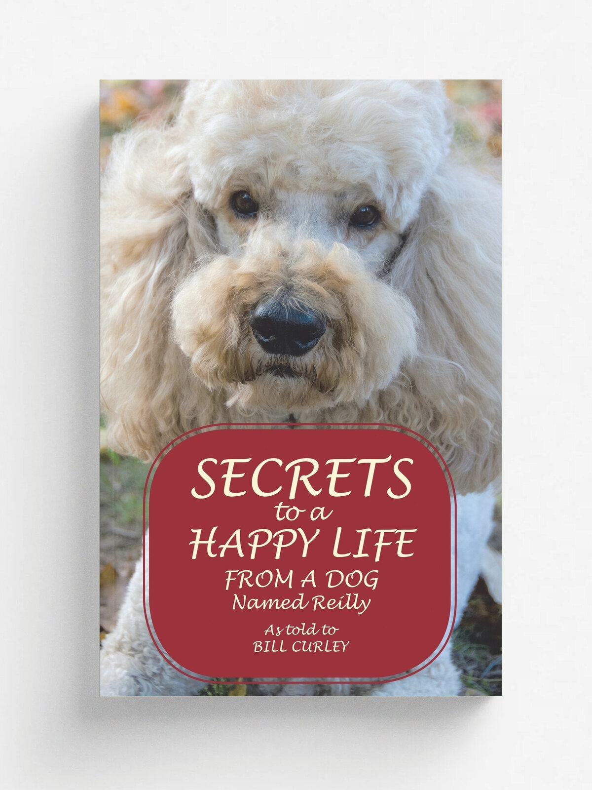 Secrets to a Happy Life from a Dog Named Reilly