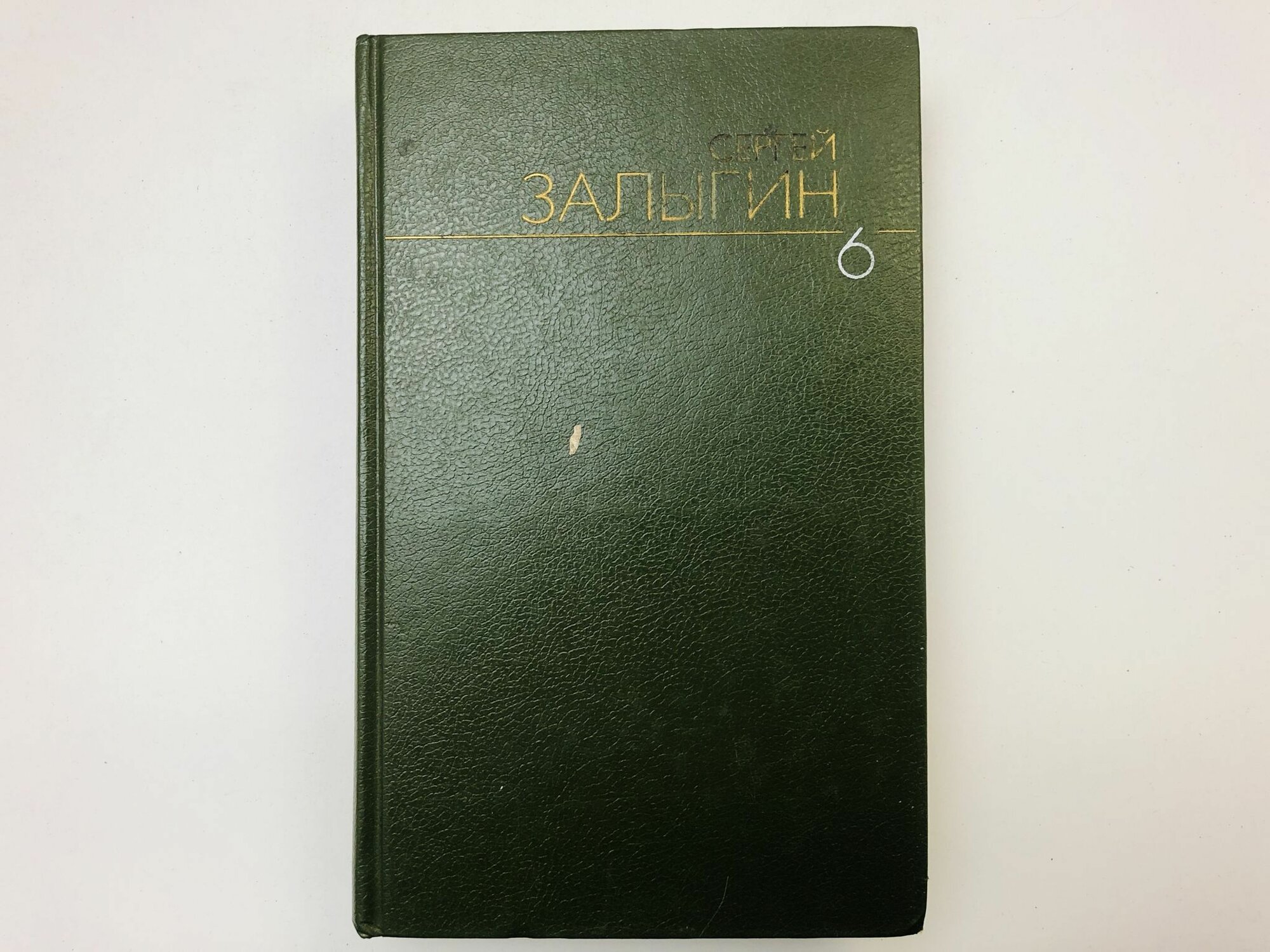 Собрание сочинений в шести томах. Том 6. Рассказы 1981-1989. Литературно-критические статьи