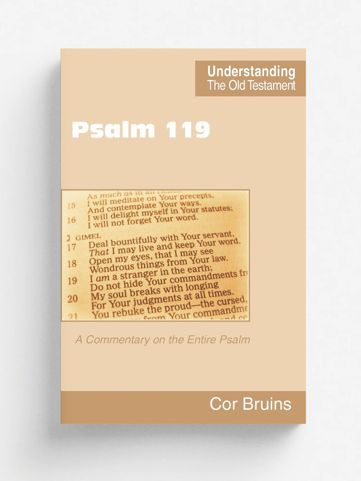 Psalm 119