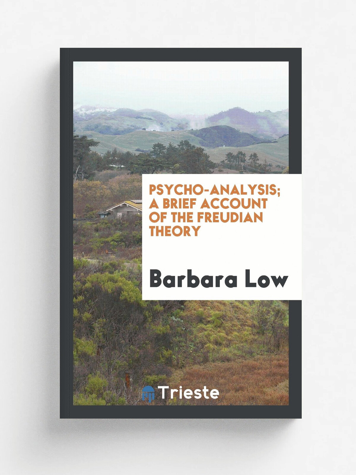 Psycho-analysis; a brief account of the Freudian theory