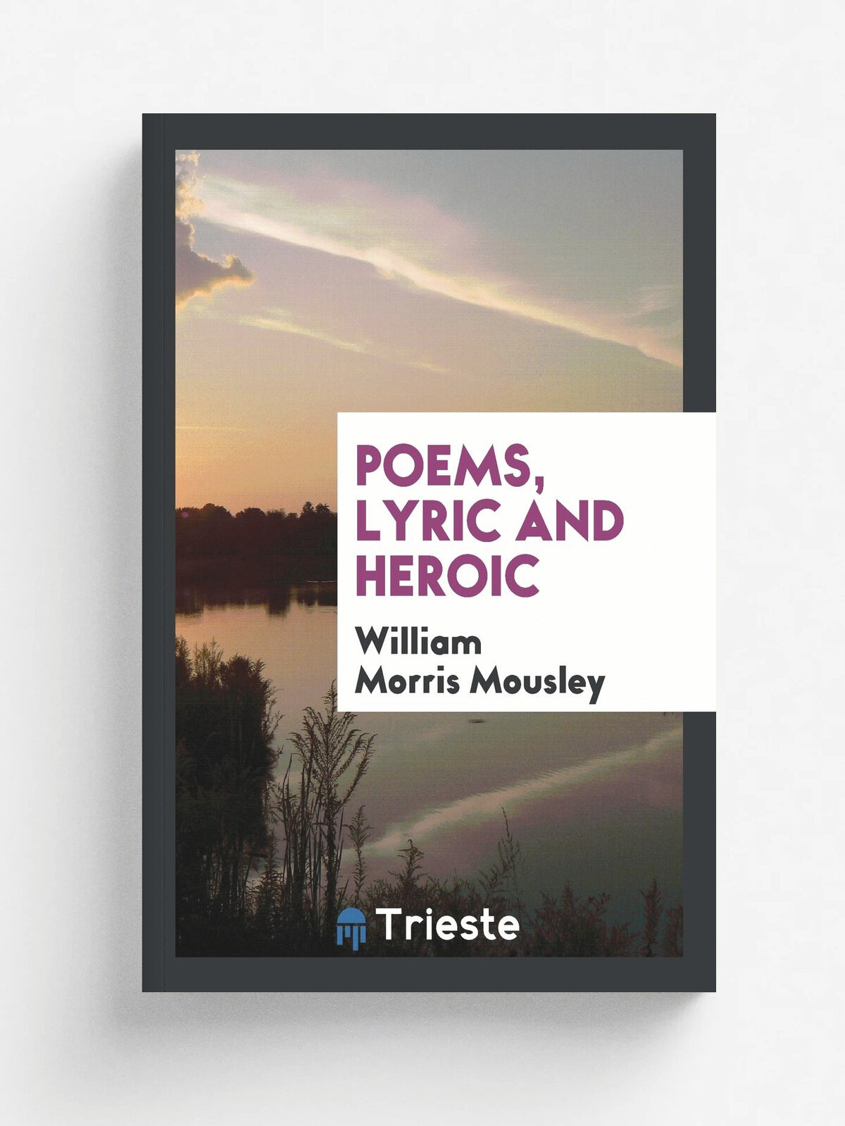 Poems, lyric and heroic