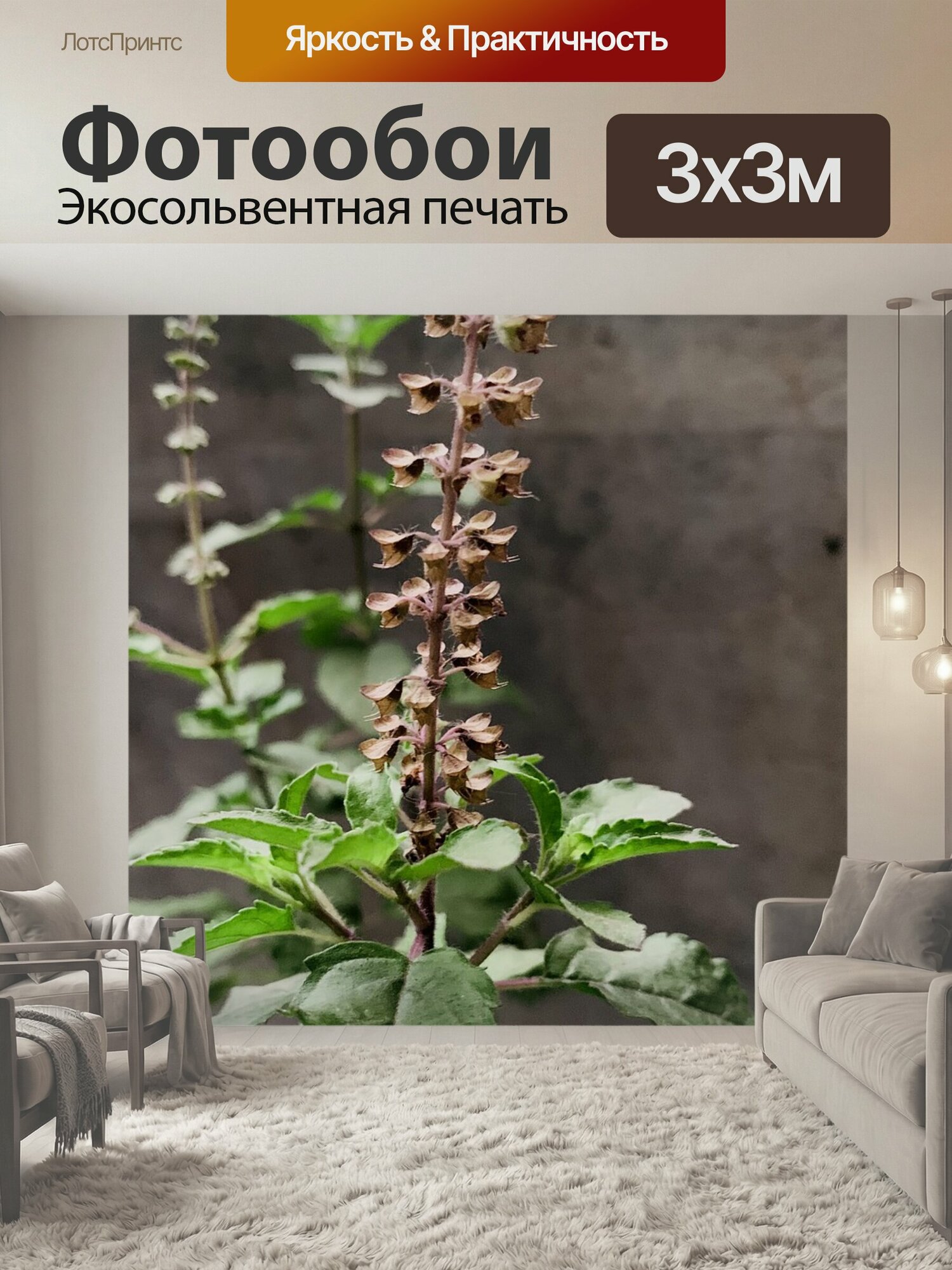 Фотообои "Тулси, святой базилик, аюрведа" 300x300 см. экосольвентная печать
