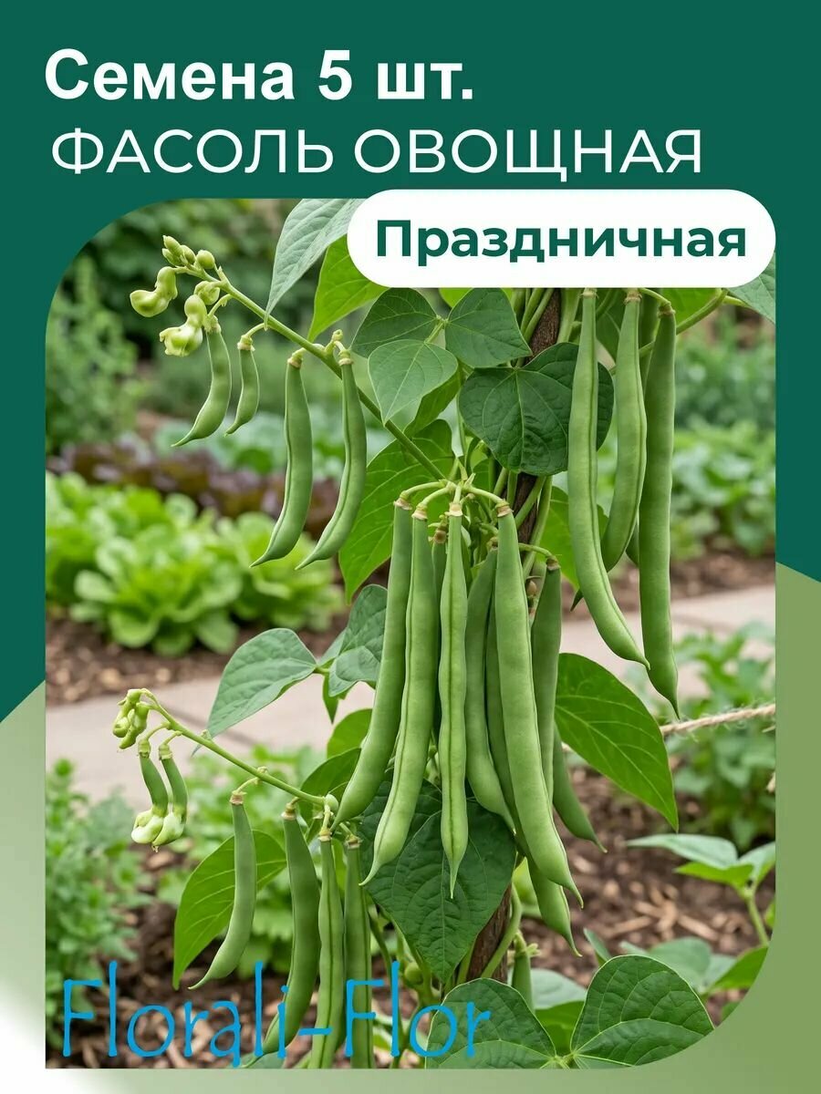 Фасоль Овощная Семена