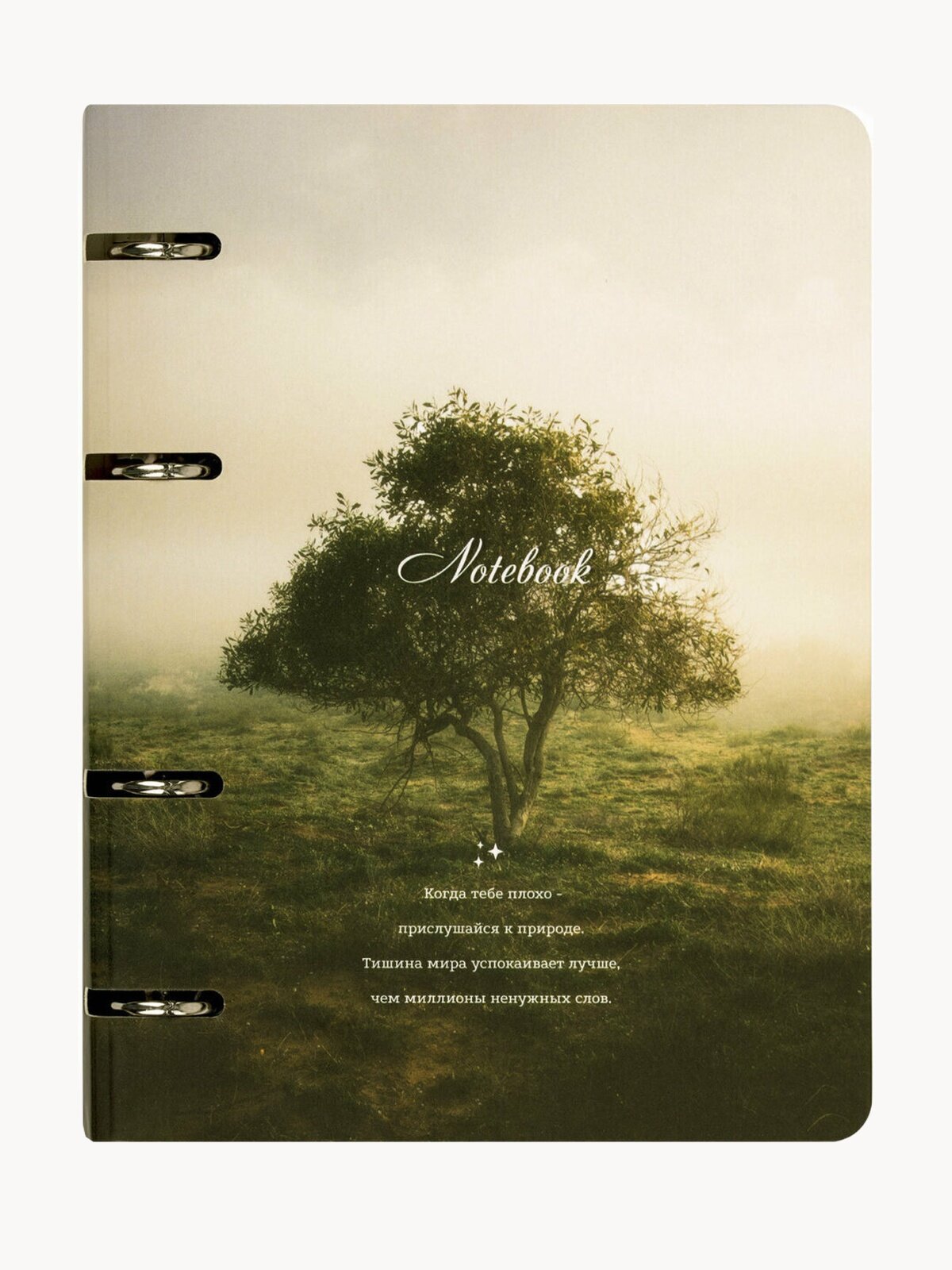 Тетрадь на кольцах А5 в клетку со сменным блоком 160х212 мм, 120 листов, обложка картон, Brauberg Nature, 404728