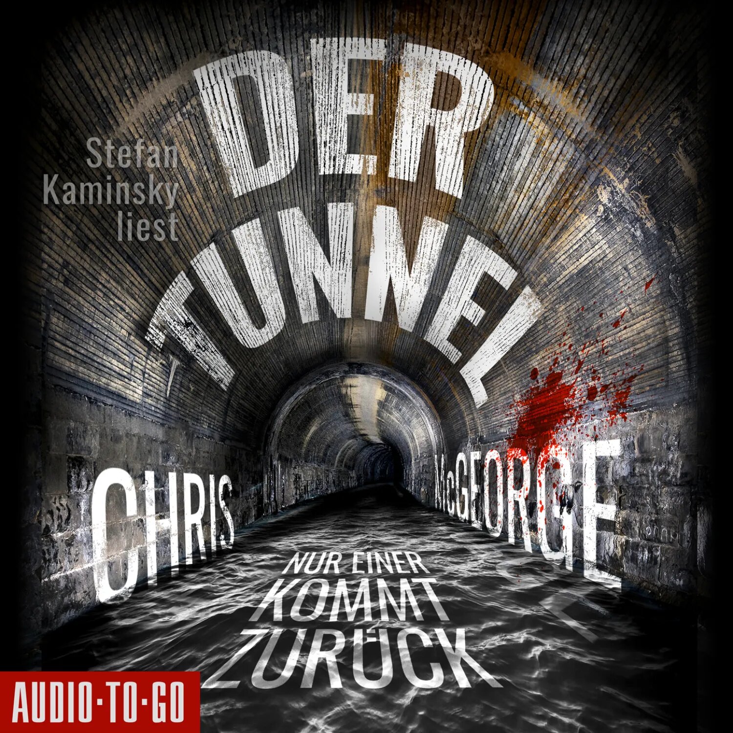 Der Tunnel - Nur einer kommt zurück (Ungekürzt) [Аудиокнига]
