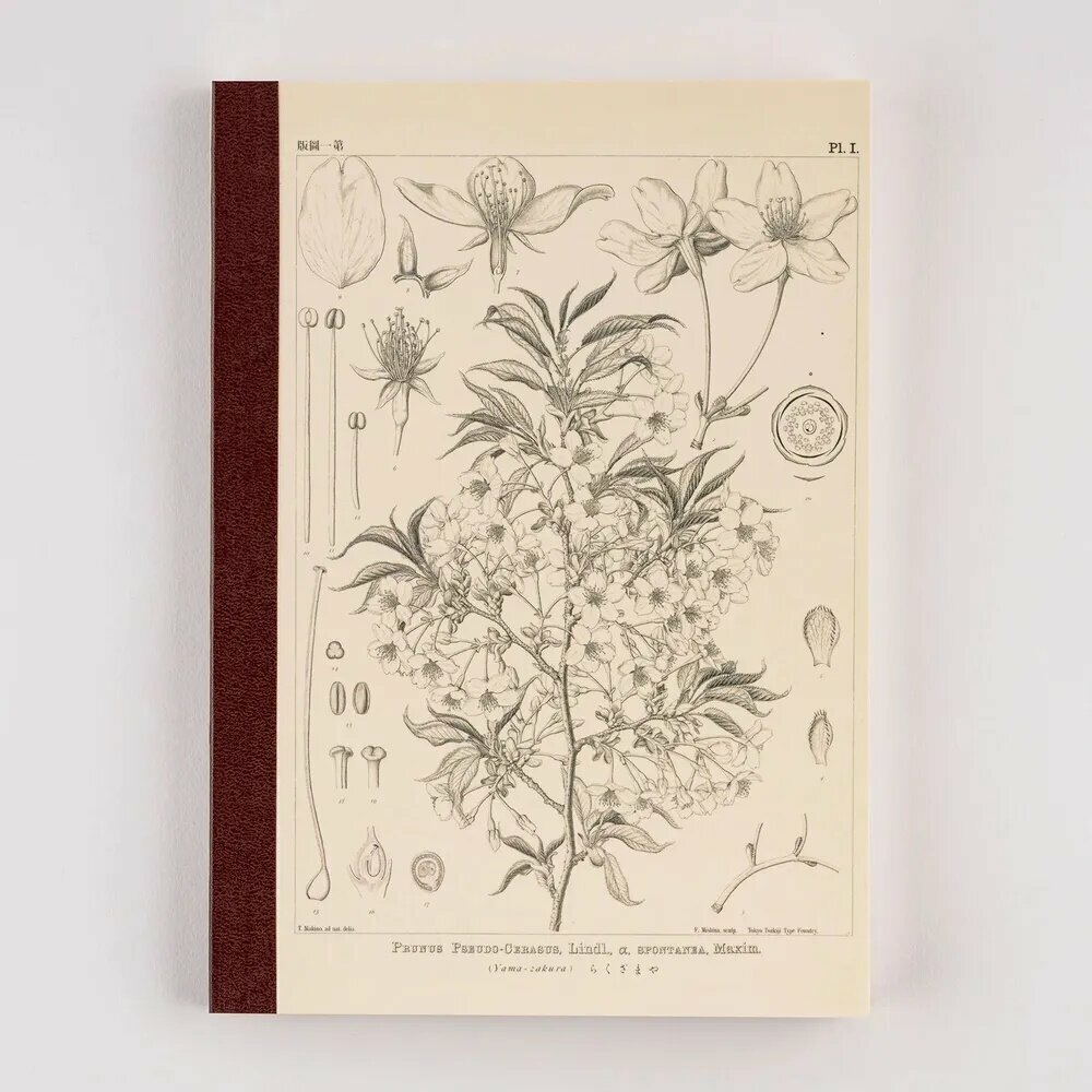 Hobonichi Ежедневник A5 (14.8 × 21 см)