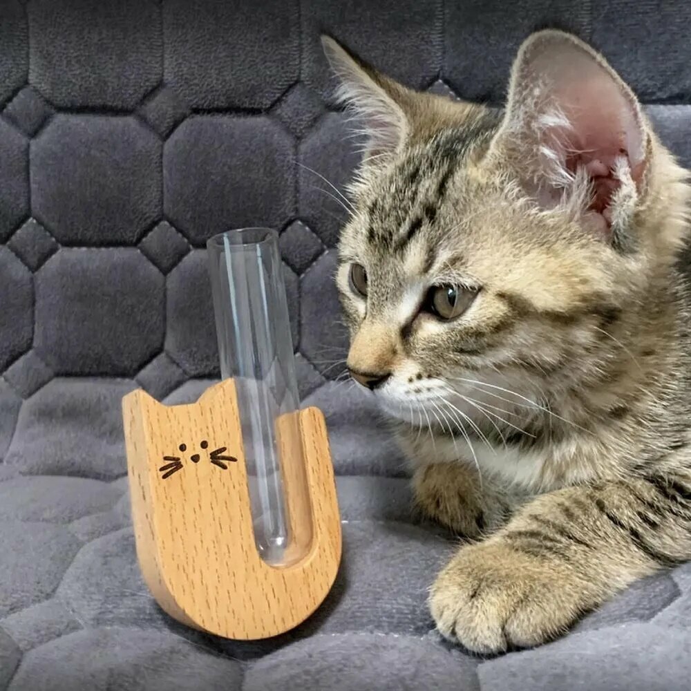 Шкатулка "Память о кошке", для шерсти питомца, цельное дерево, стеклянная, 4,5x6 см