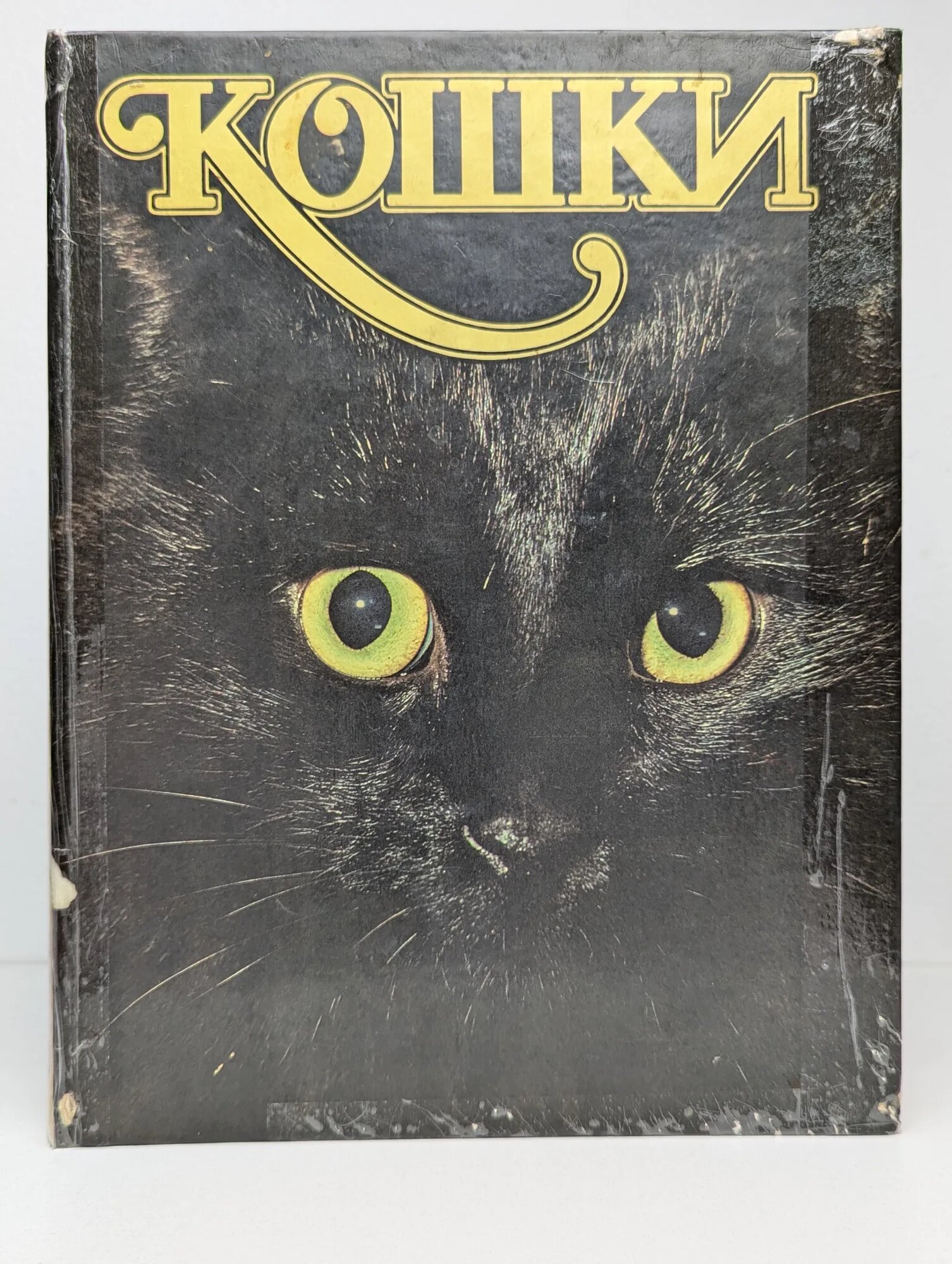 Кошки Непомнящий Николай Николаевич 1991