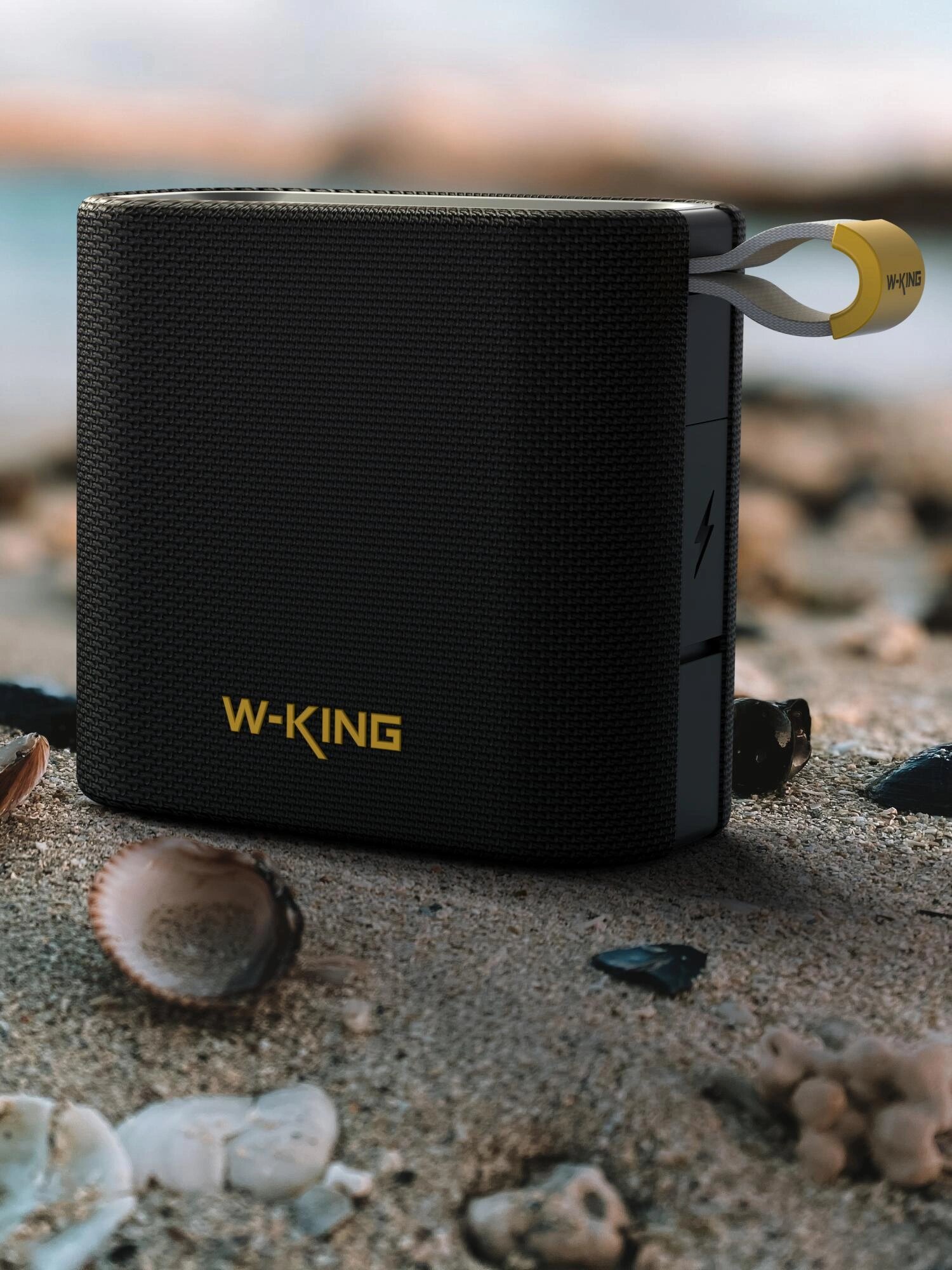 Колонка портативная W-KING D2, 2000 мА, до 10 ч, IPX7 (Black)