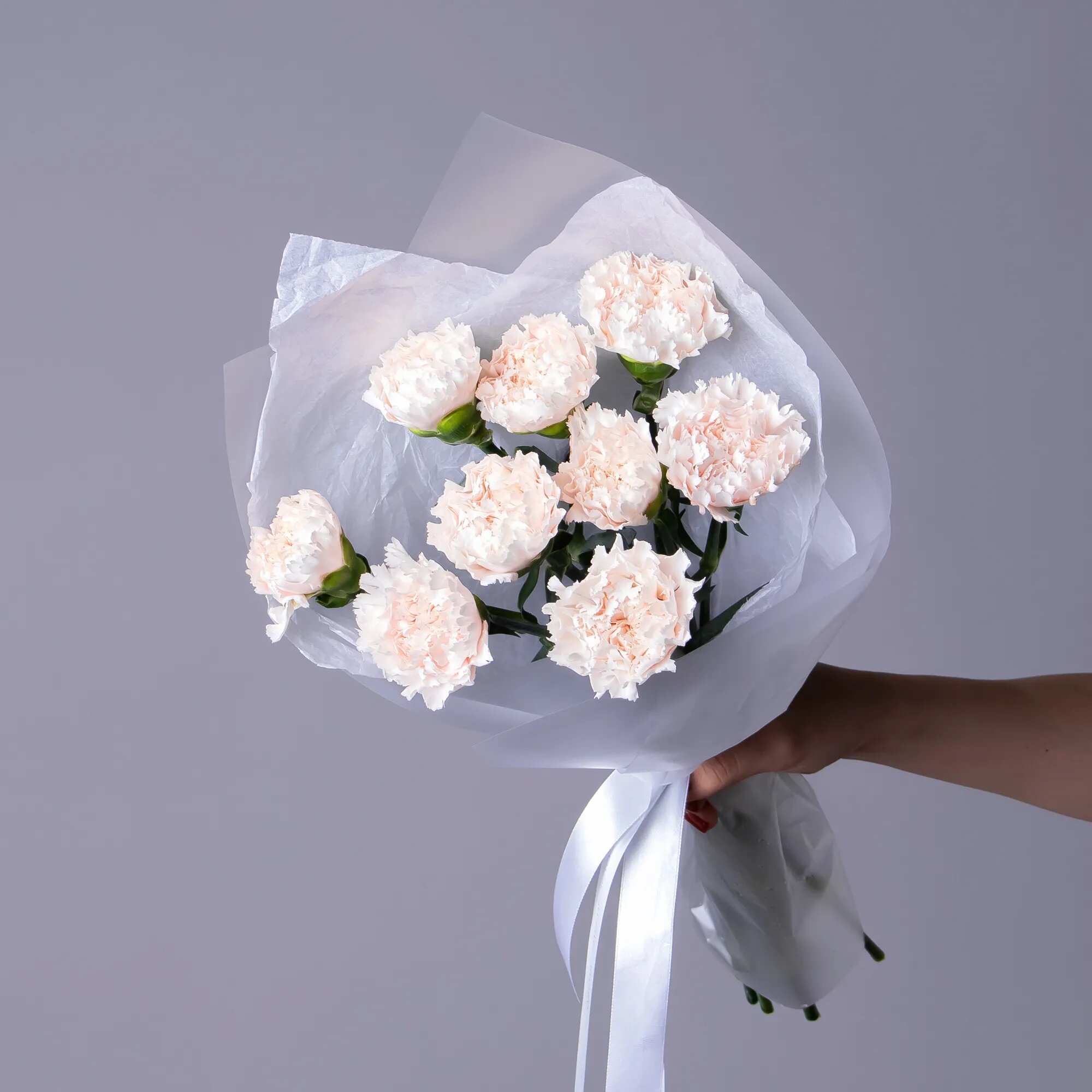 Букет Гвоздика "Брют" 9 шт Высота 60 см в коробке и аквабоксе от "Простоцветы"