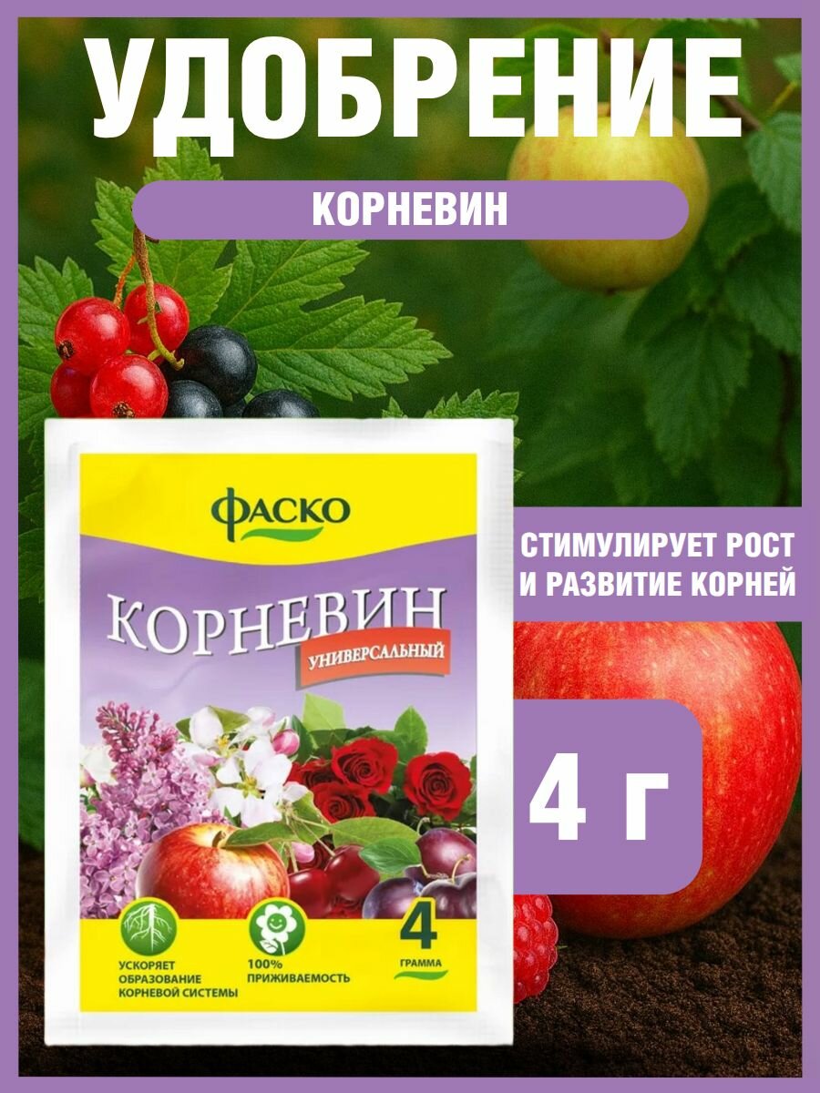 Корневин Фаско стимулятор корнеобразования и роста корней 4 г