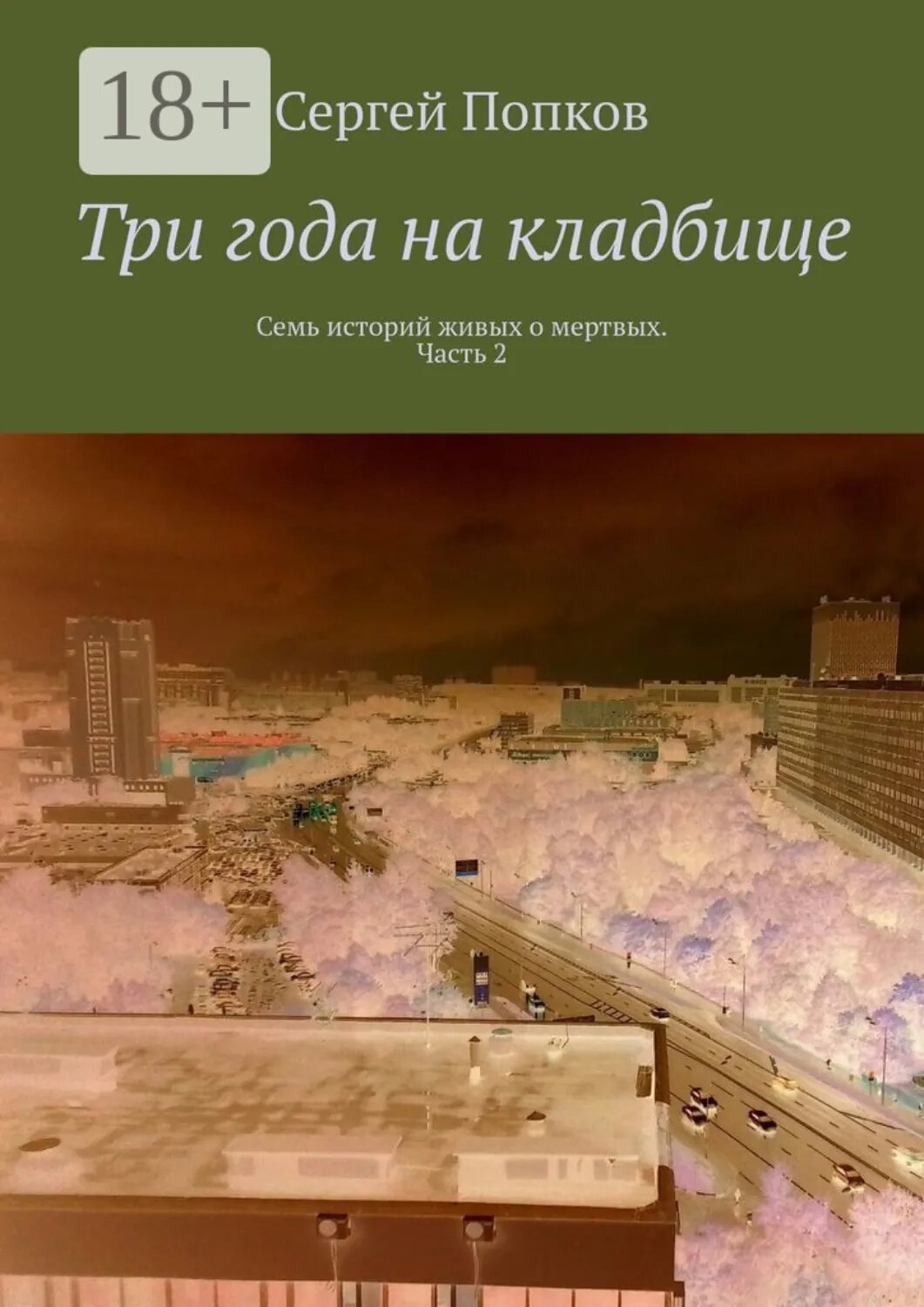 Три года на кладбище. Семь историй живых о мертвых. Часть 2 [Цифровая книга]