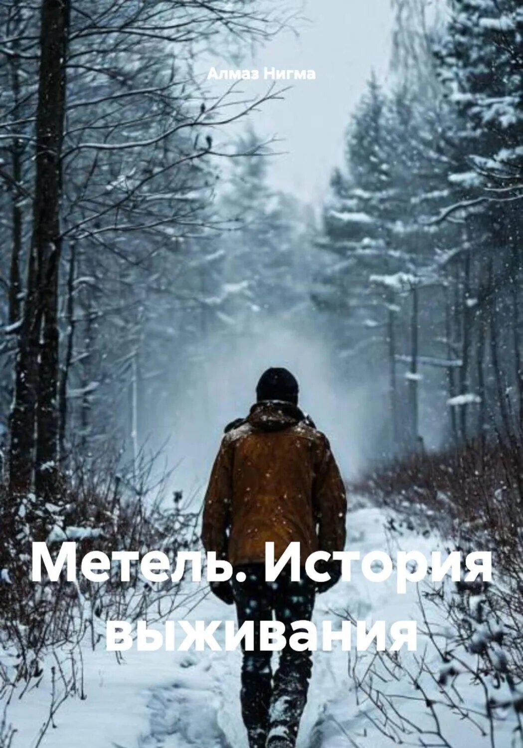 Метель. История выживания [Цифровая книга]