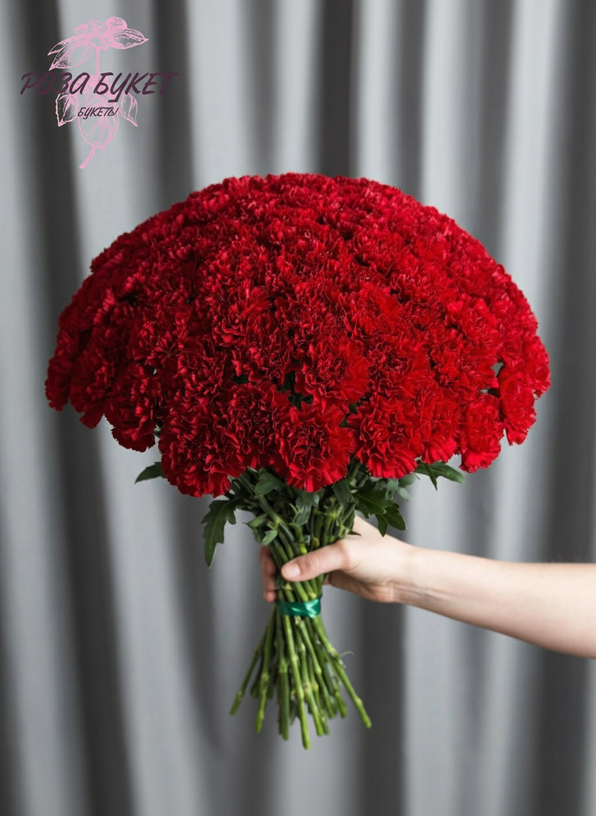 Букет цветов, букет из 51 красной гвоздики, премиум букет, долгий букет, премиум цветы