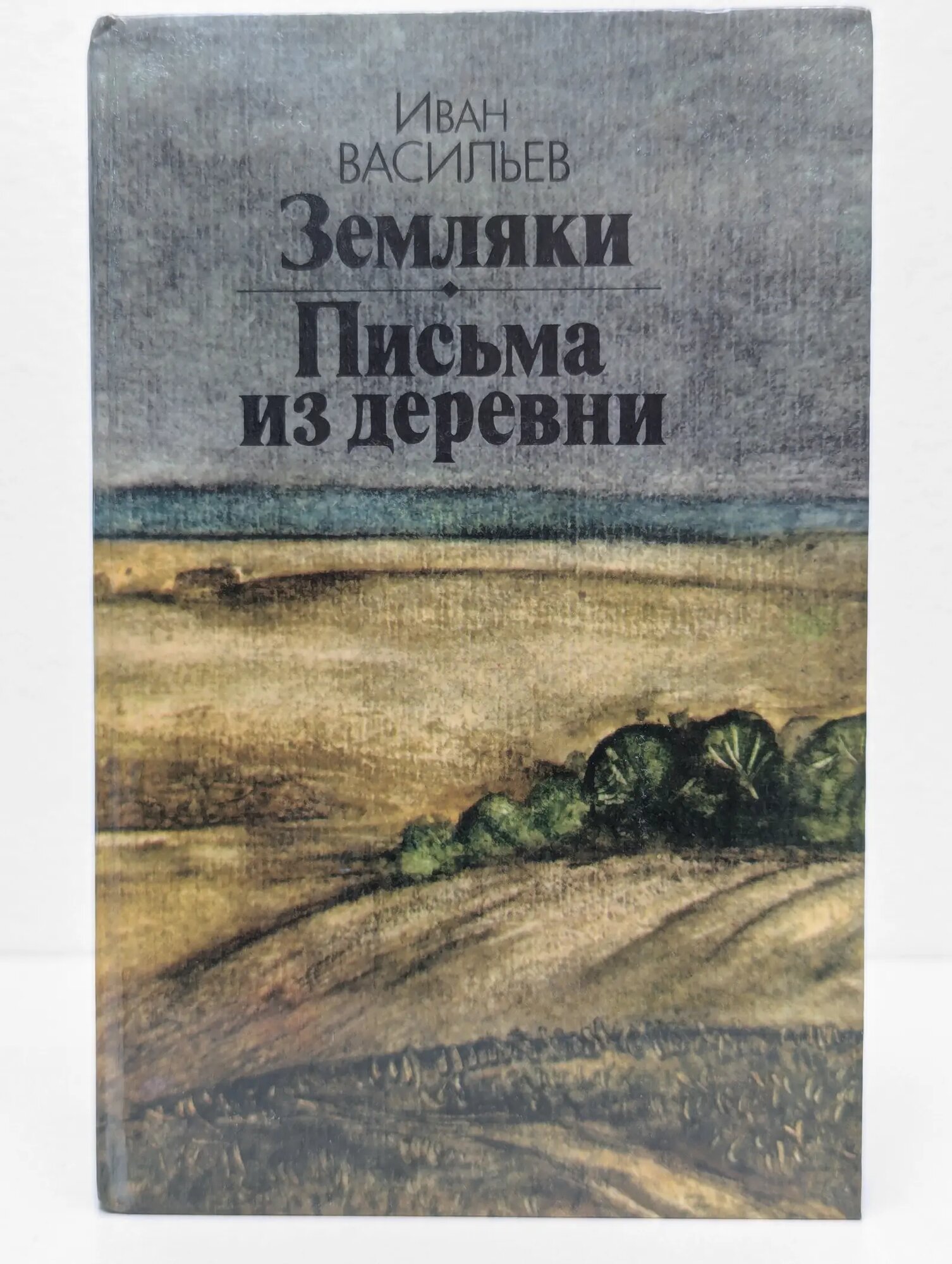 Земляки. Письма из деревни Васильев Иван 1985