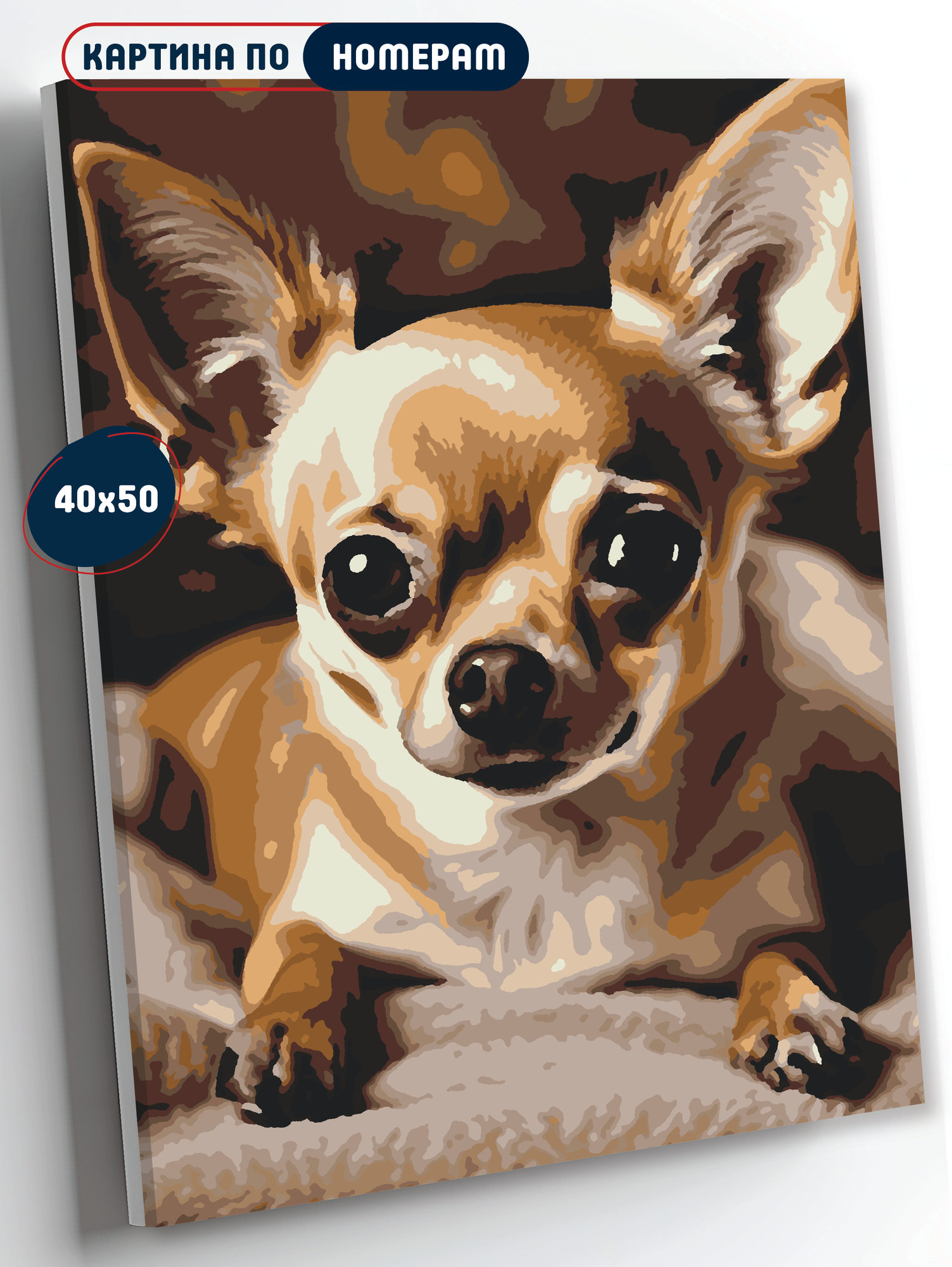 Картина по номерам "Чихуахуа", Холст на подрамнике 40х50, набор для рисования, с животными