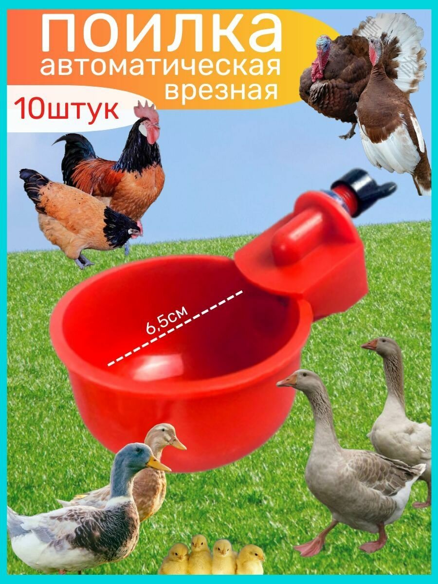 Поилка автоматическая врезная для птиц 10 шт, для кур, уток, гусей, индеек для домашней птицы птицеводство