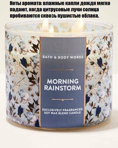 Bath and Body Works свеча ароматическая с 3-мя фитилями Morning Rainstorm (411 грамм)