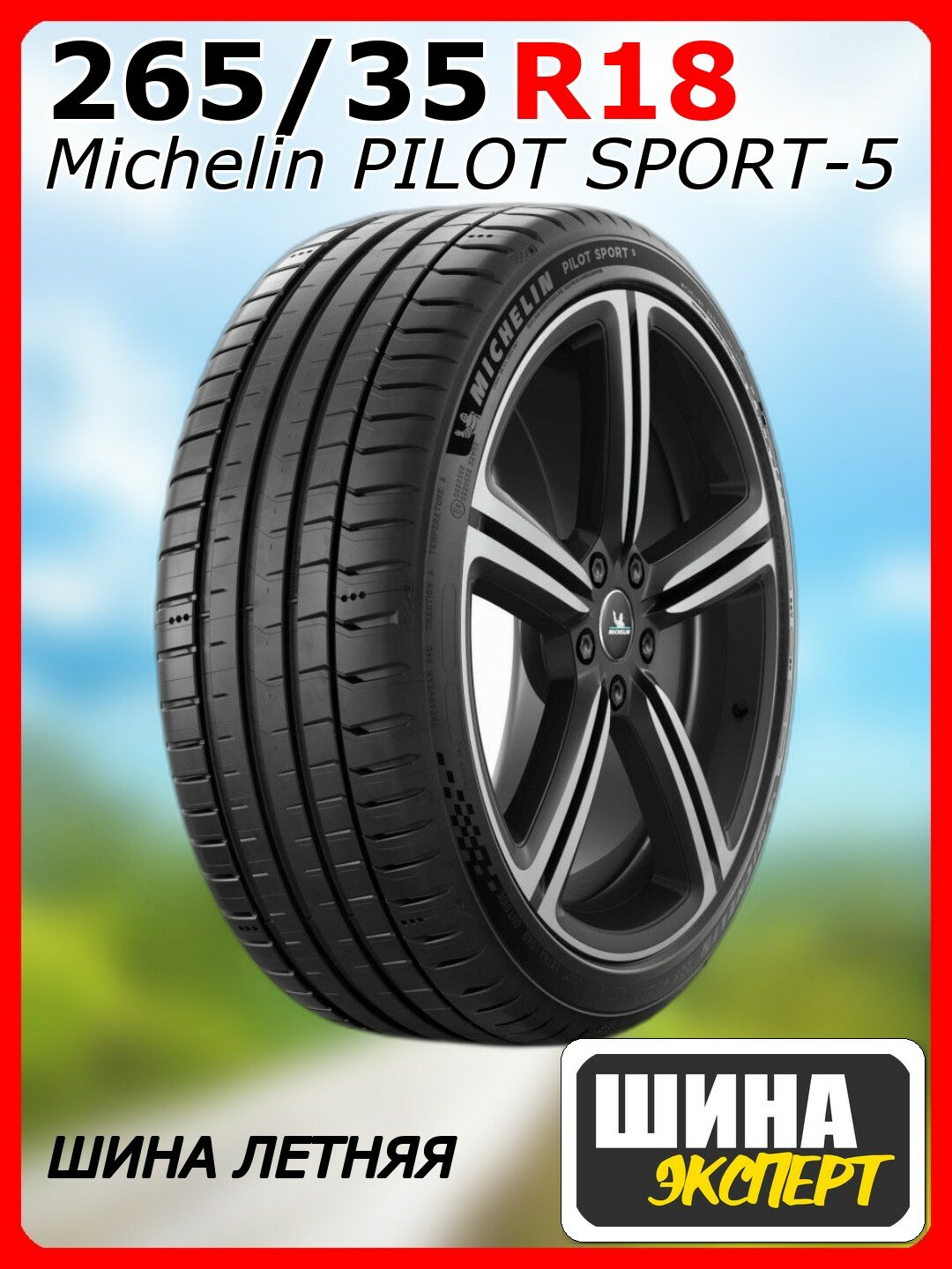 Шина летняя Michelin 265/35/18 Y 97 Pilot Sport 5 для легковых автомобилей 744835