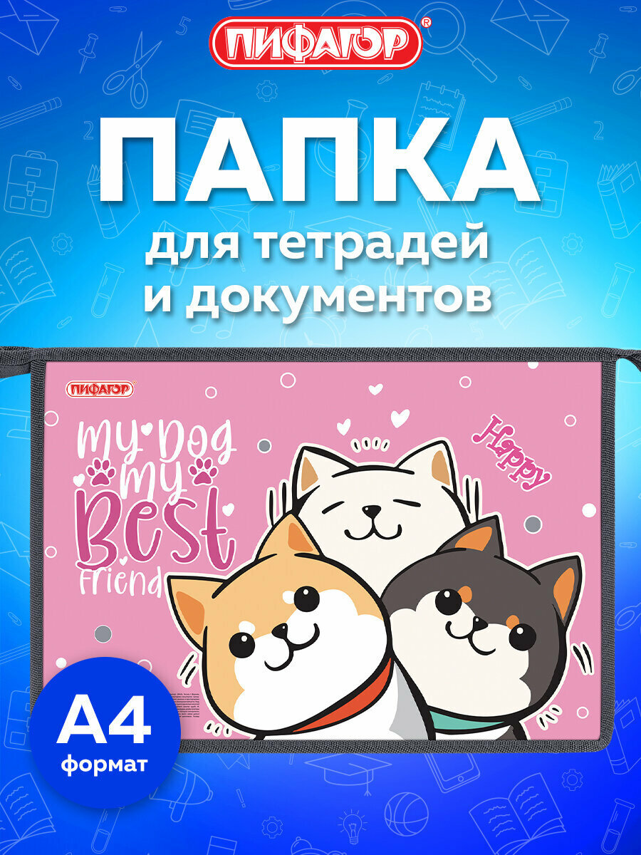 Папка для тетрадей Пифагор А4, 1 отделение, картон/пластик, на молнии, Best team, 272124