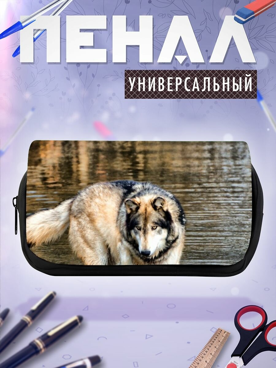 Школьный пенал вода живая природа